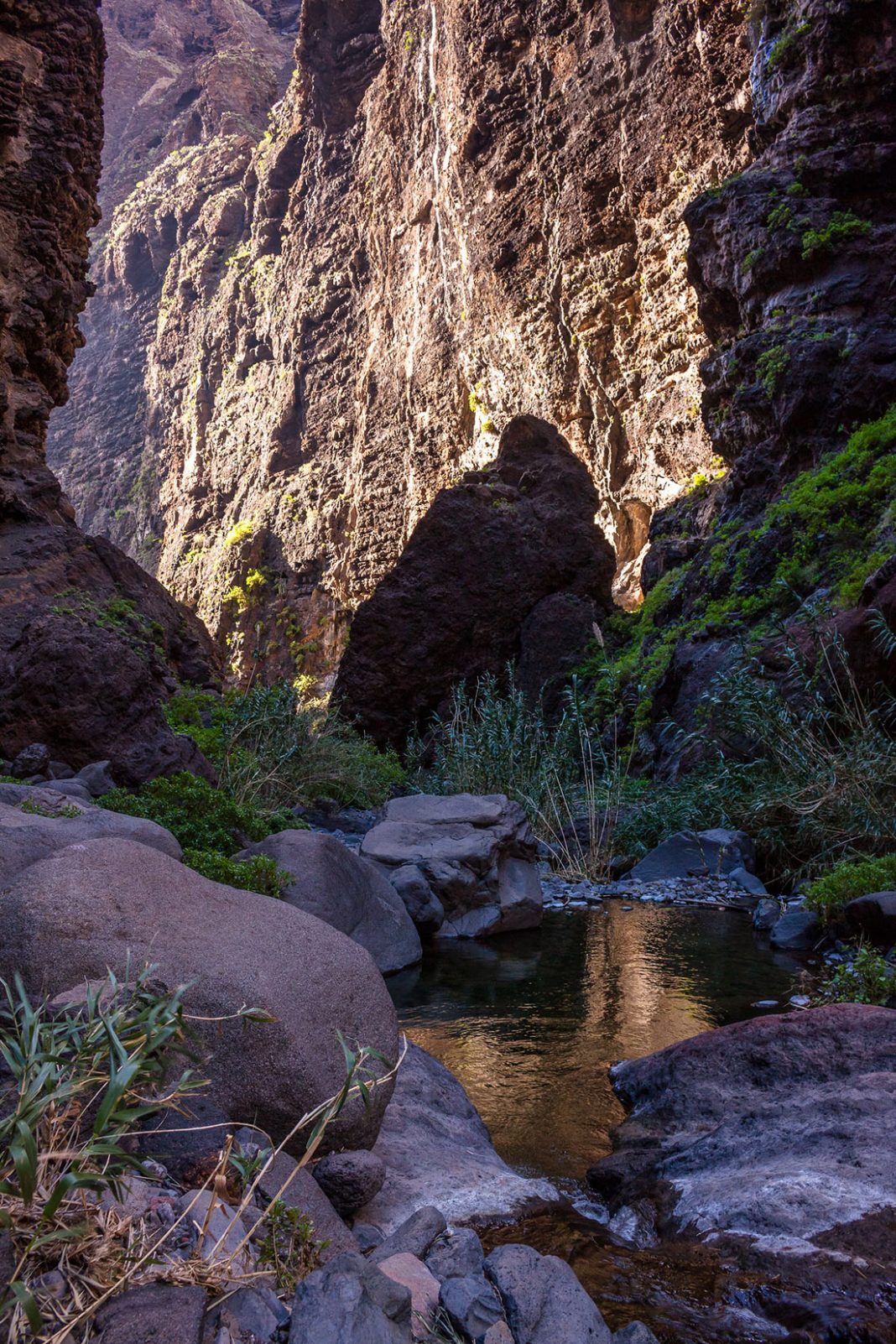 Masca Gorge: the lost world on the Island of Tenerife - Travel site