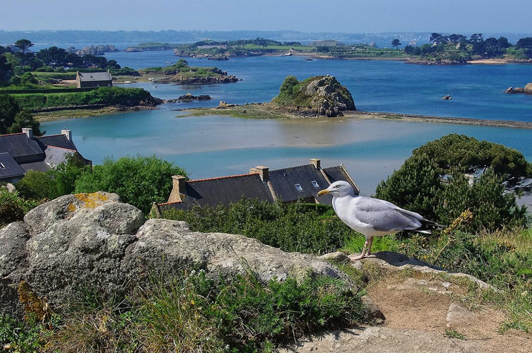 The most beautiful islands of France: 10 most exciting and spectacular ...